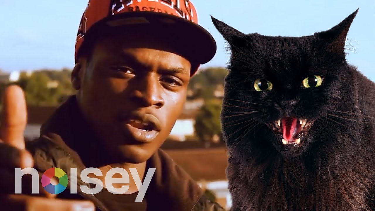 The Rapper Who ‘Turned into a Cat’ - YouTube