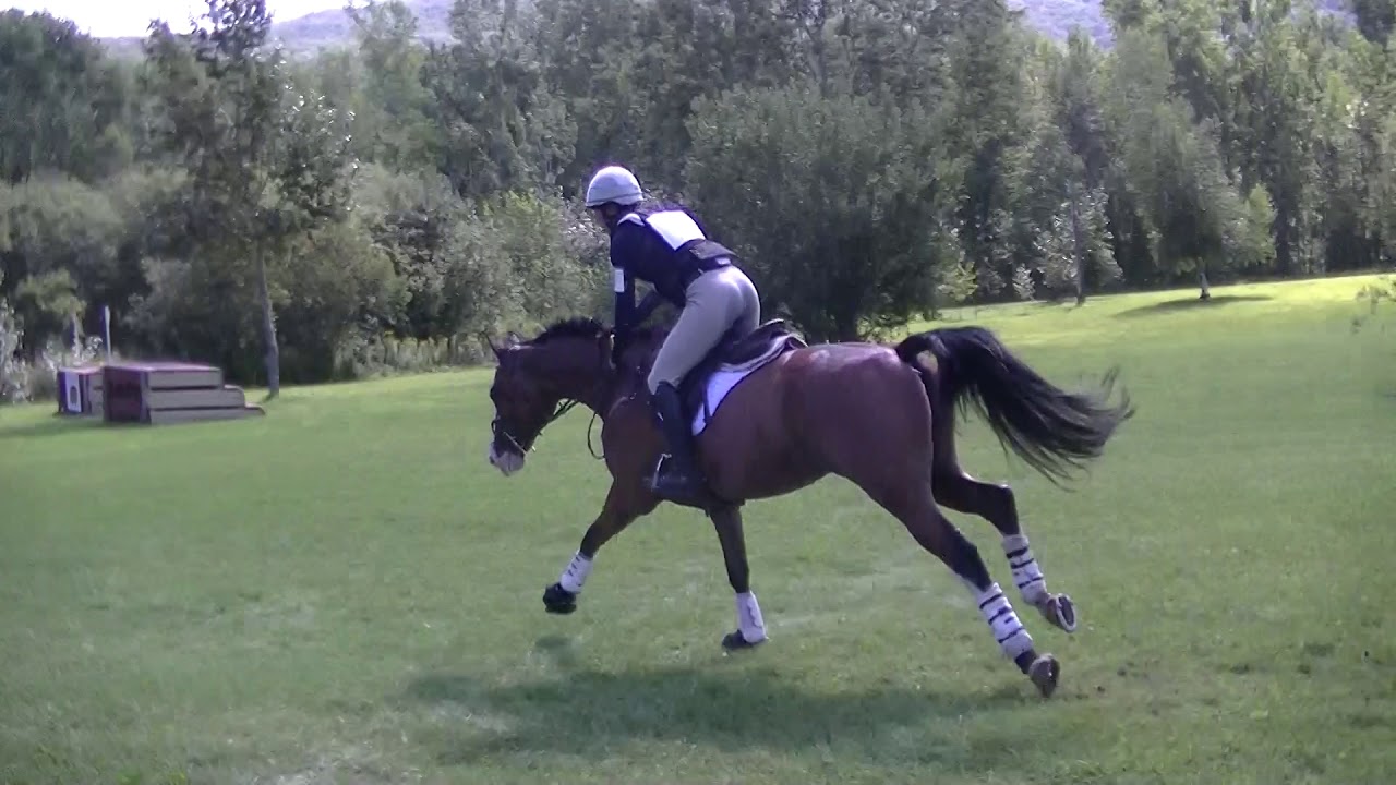 Annie Goodwin & Fedarman B CIC 2 star XC - YouTube