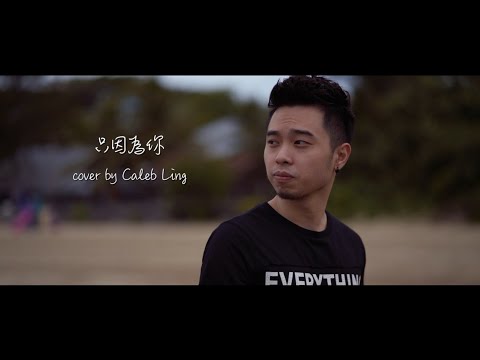 Nicholas 张栋梁- 只因为你 cover by 林志豪 Caleb Ling - YouTube