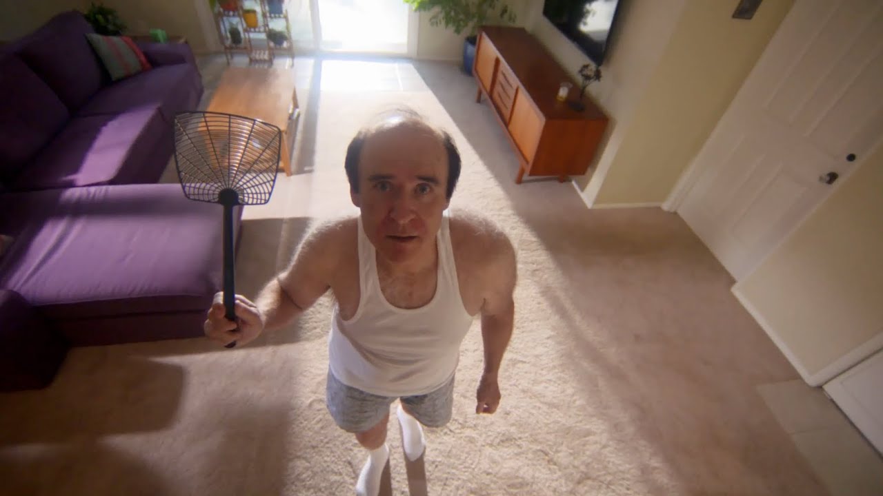 Why is it So Hard to Swat a Fly? - The Quick and the Curious - YouTube