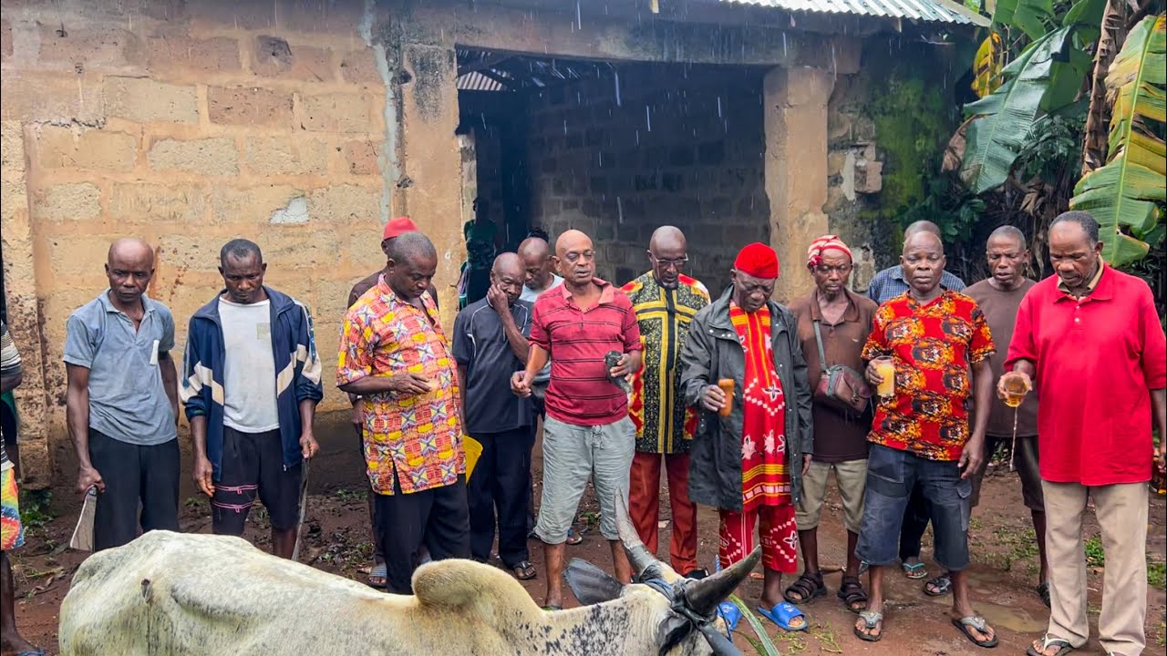 Prayers to the God of Imo for New Yam festival - Yam festival in Mbaise ...
