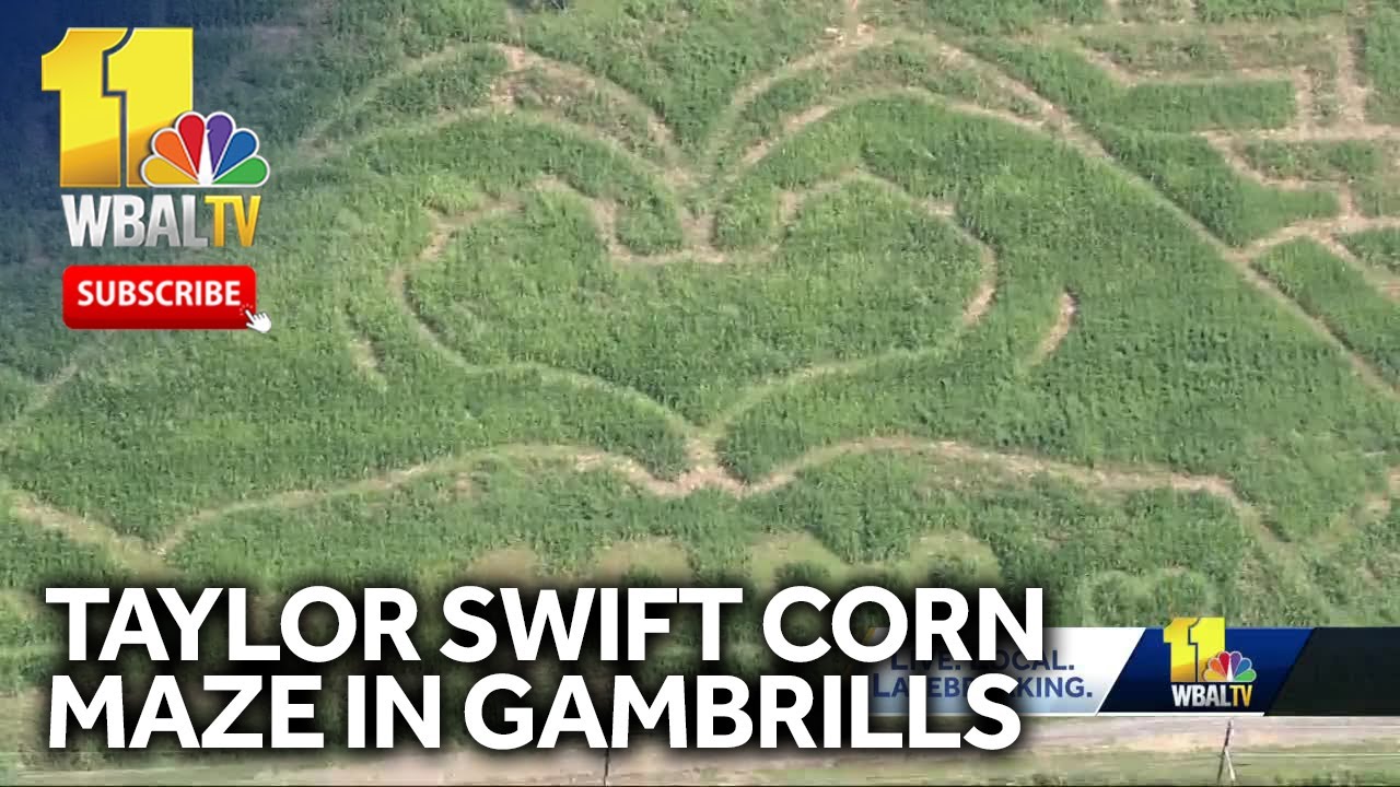 Taylor Swift-themed corn maze to open in Gambrills - YouTube