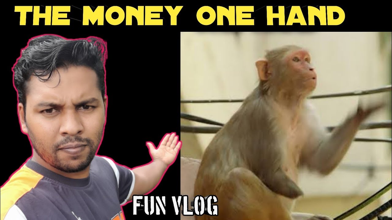 one hand mokey fun vlog (tamil vlog) - YouTube
