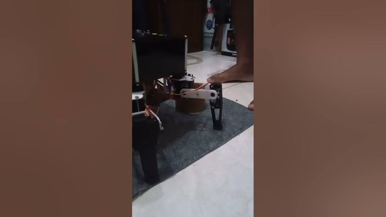 Quadruped Robot and STABILIZATION ALGORITHM - YouTube