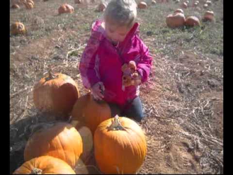 Pumpkin Patch - YouTube