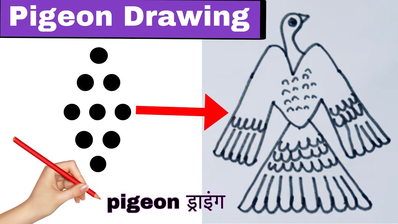 Pigeon drawing from 9 dots step by step/easy drawing/pigeon outline ...