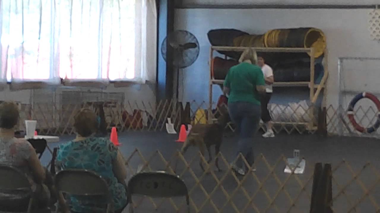 Phelix-APDT Rally Level 1B-Trial 2 - YouTube