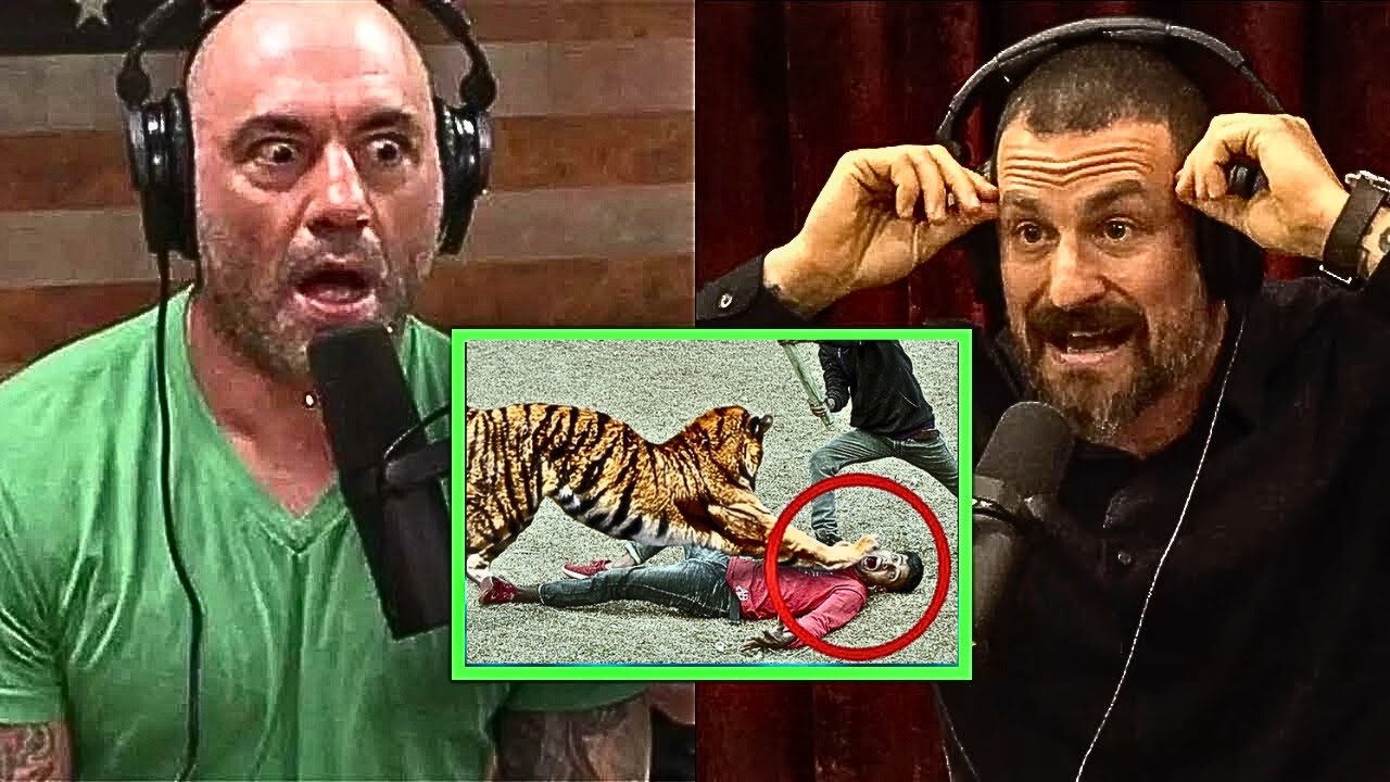 Tiger ATTACKS And KILLS Boy At The ZOO! Joe Rogan - YouTube