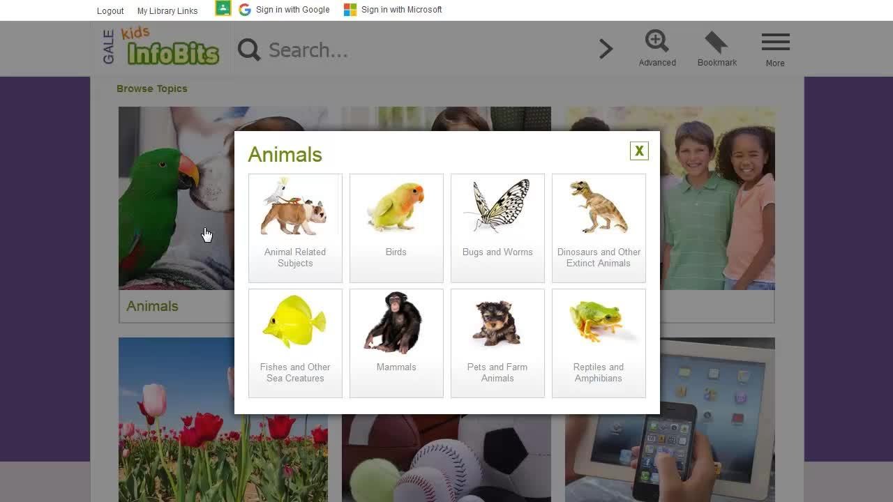Kids InfoBits - Basics - YouTube
