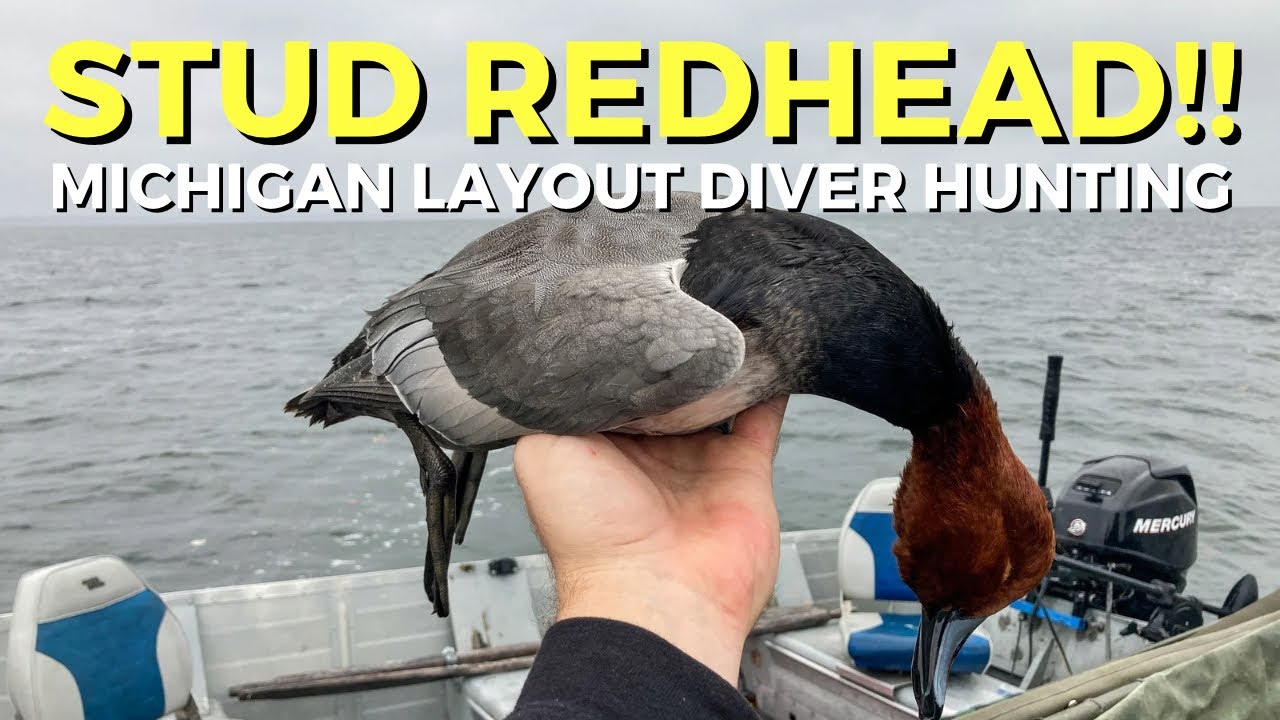 Houghton Lake DIVER Hunting! | Michigan Layout Duck Hunting - YouTube