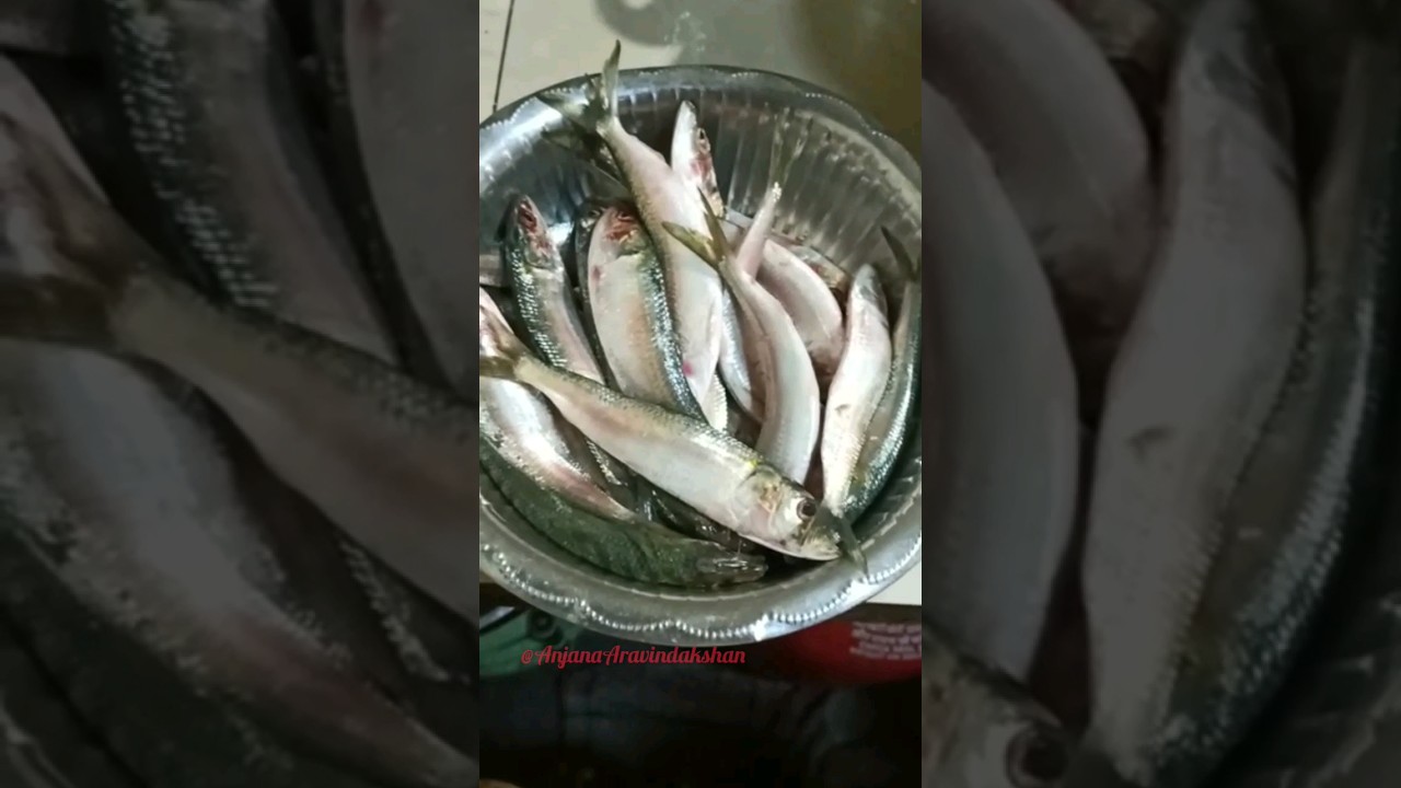 How To Cook Kerala Style Nadan Mathi Curry ( Sardine Fish Curry) മത്തി ...