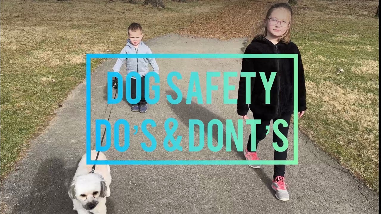 Dog Safety Tips for Kids- the DO’s and DON’Ts of Dog Safety - YouTube