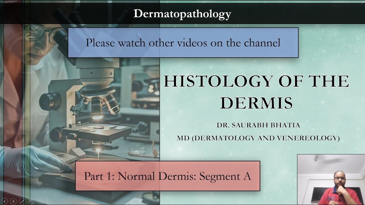 Segment A - Histology of the Dermis: Part 1 - Normal histology: Fibers ...