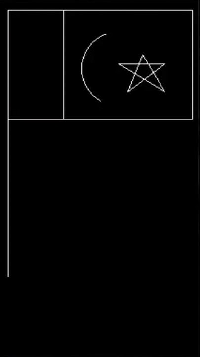 I make Pakistan's flag in C++ | C++ coding #cpp #coding #programming # ...
