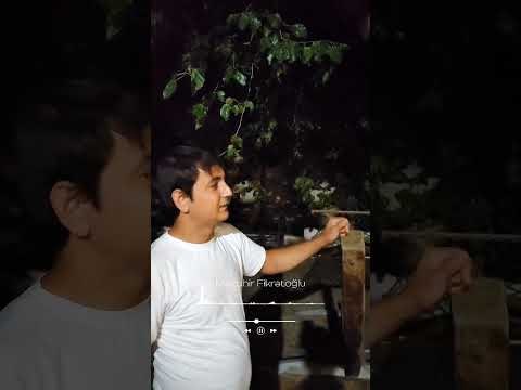 Mezahir Fikretoglu / Məzahir Fikrətoğlu