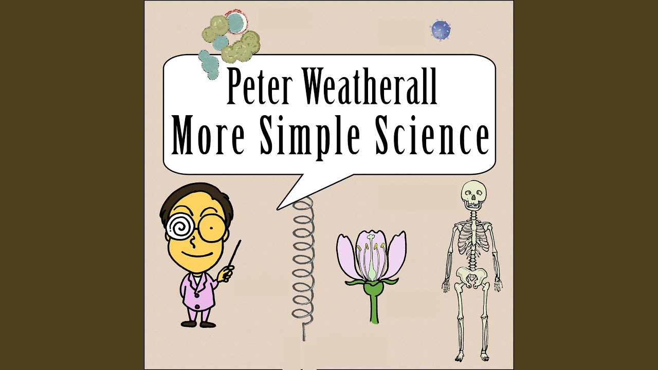 Solubility Song - YouTube