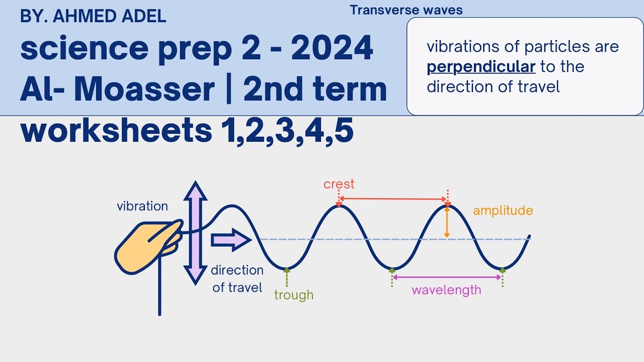 science prep.2 | Worksheets 1,2,3,4,5 -Al Moasser 2nd term -حل شيتات ...