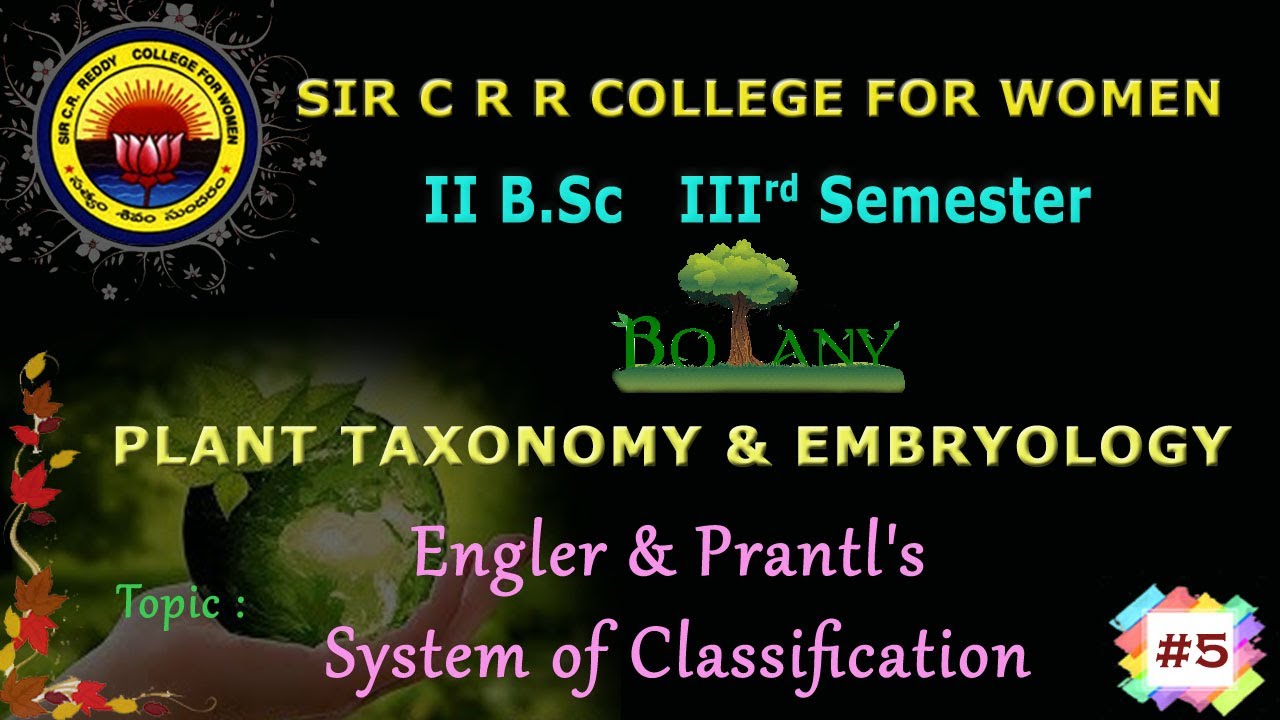 5. II BSc 3rd Sem - Botany -PLANT TAXONOMY & EMBRYOLOGY- Engler ...
