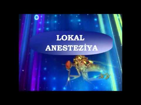 (unut.wen.su)Ağcaqanad bədənindəki möhtəşəm xüsusiyyətlər