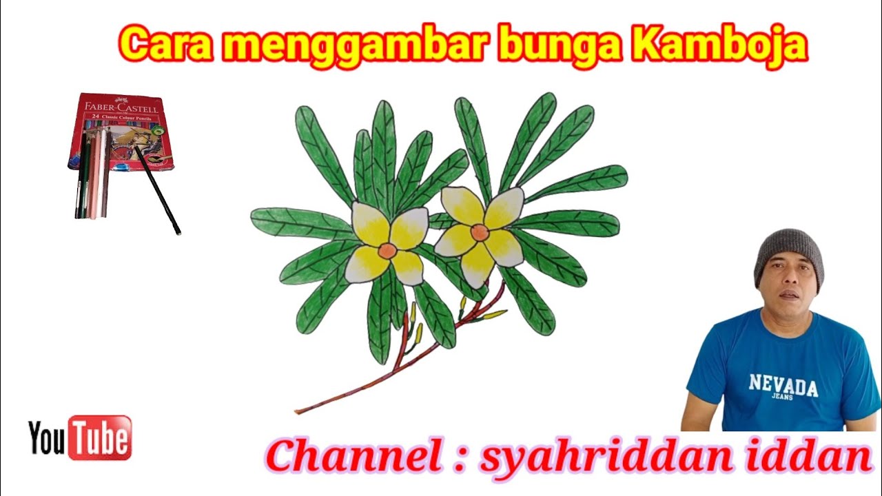 Cara menggambar bunga Kamboja - How to draw frangipani flower II Seni ...