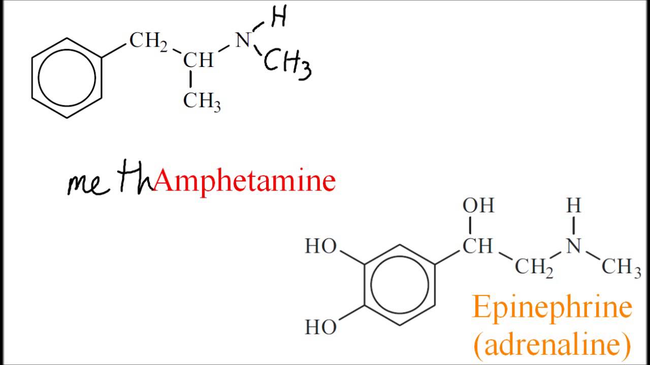 Amphetamine Structure Vs Methamphetamine 1879