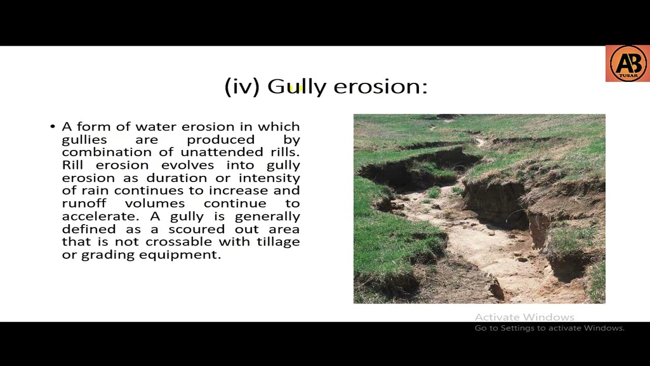 Rill Erosion And Gully Erosion
