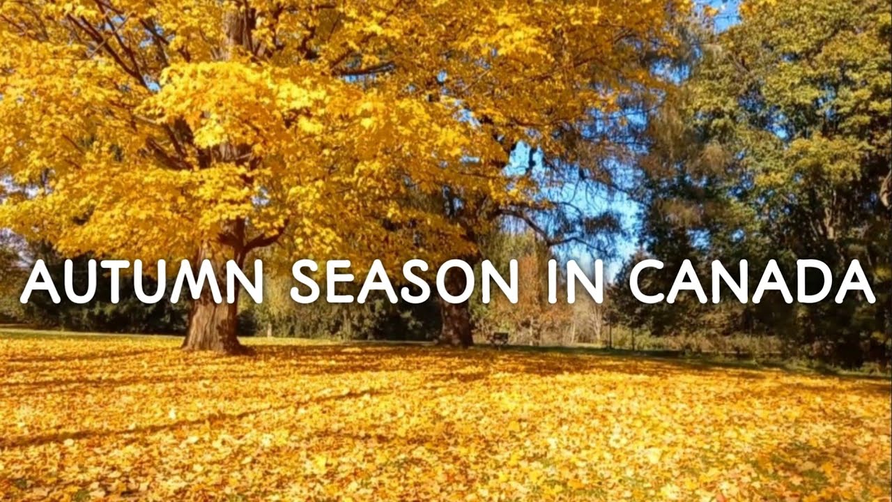 Autumn season in Canada| Autumn in Canada during November| Autumn ...
