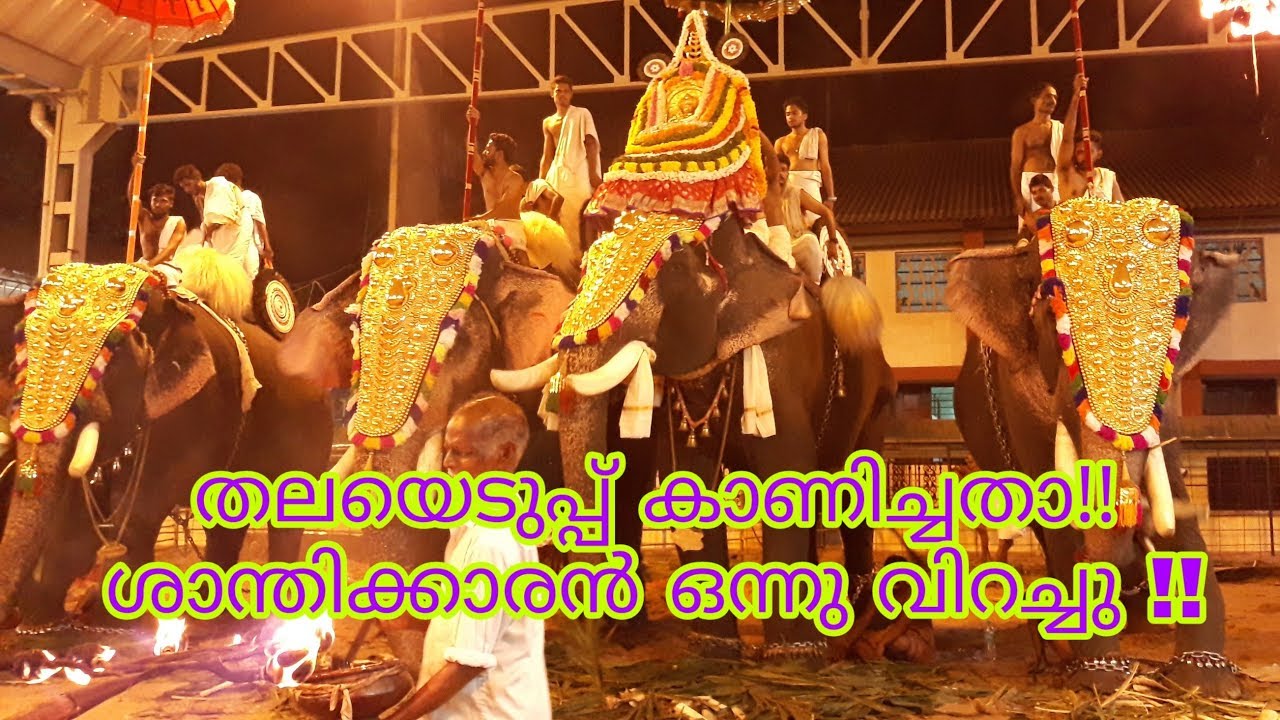 തല ഉയർത്തി കുറുമ്പുകാട്ടി ഗുരുവായൂർ വലിയ കേശവൻ | Guruvayoor Valiya ...