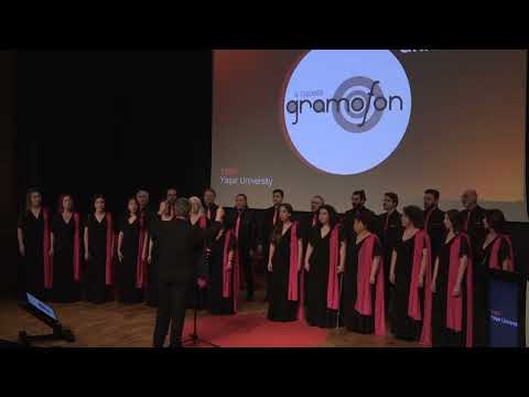 Seslerin Harmonisi: İnsan Sesinden Doğan Kıvılcım | A Capella Gramofon | TEDxYaşar University