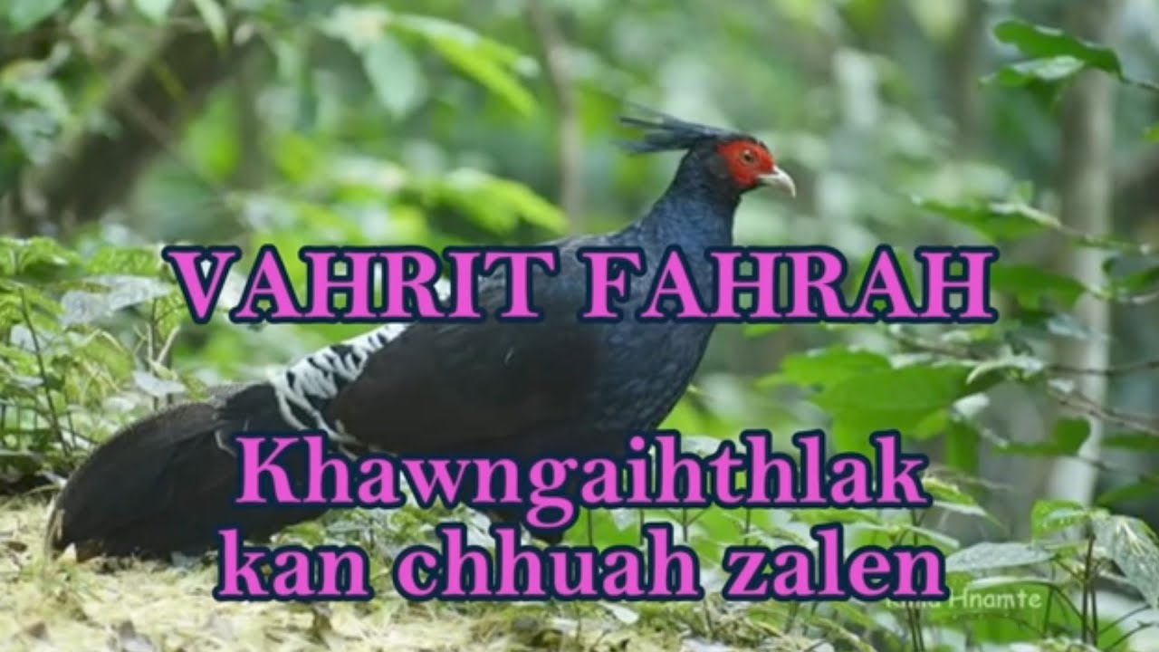 VAHRIT KAN CHHUAH ZALEN - YouTube
