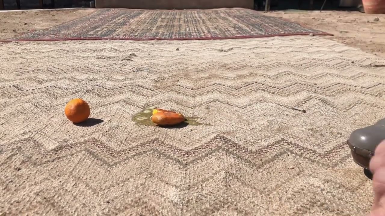 Clogs Crushing Oranges - YouTube