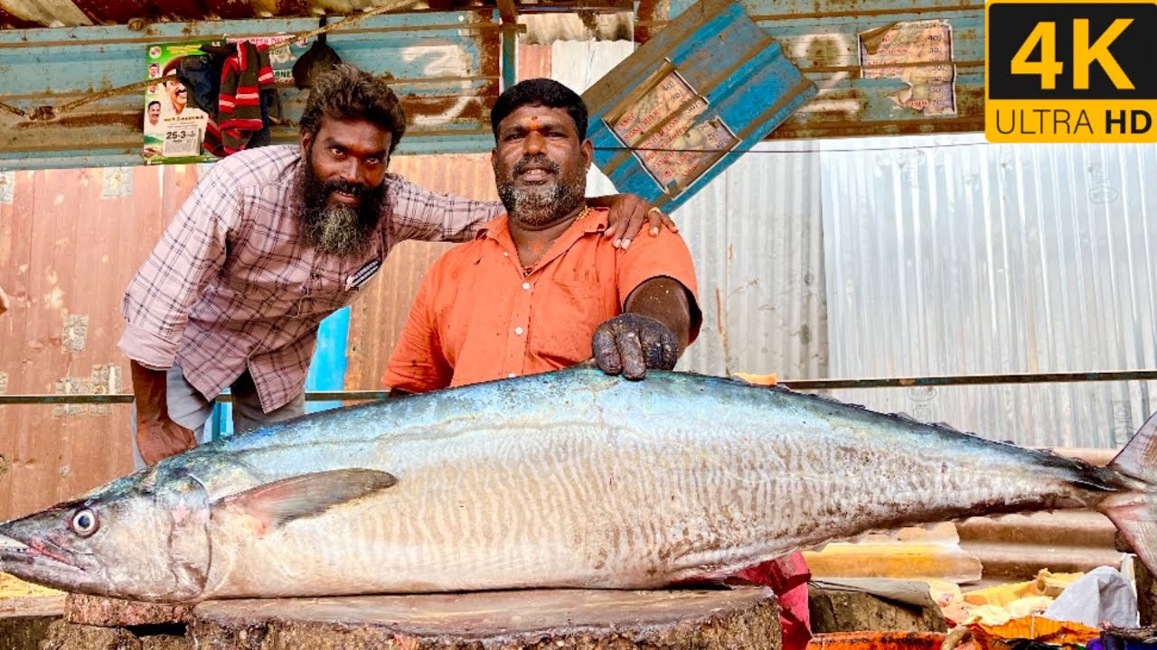 Vanjaram fish 20kg cutting video/fishcuttingrs#fish #fishcuttingrs # ...