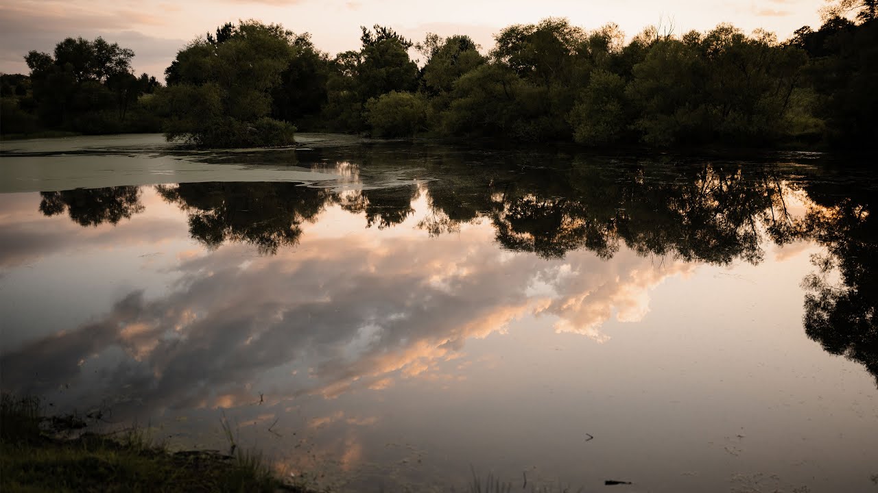 CRM: Day 4 - Awareness Moment 2 - Grounding Like A Tree - YouTube