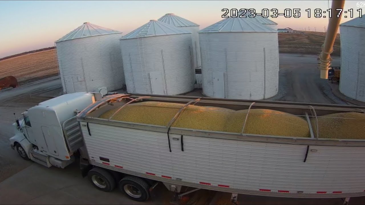 How Long does it take to Dump a Bulk Grain load? Watch and find out ...
