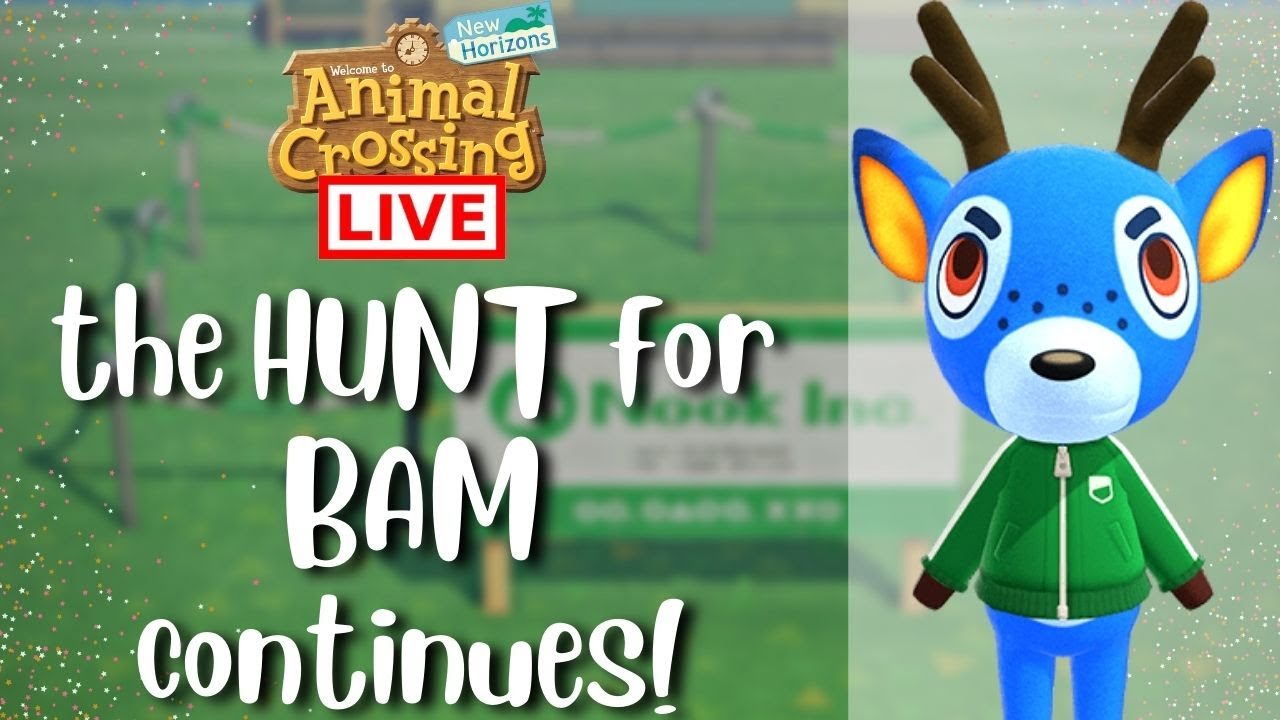 🔴 WE FOUND BAM!!!!!*live* (ACNH Villager Hunting) - YouTube