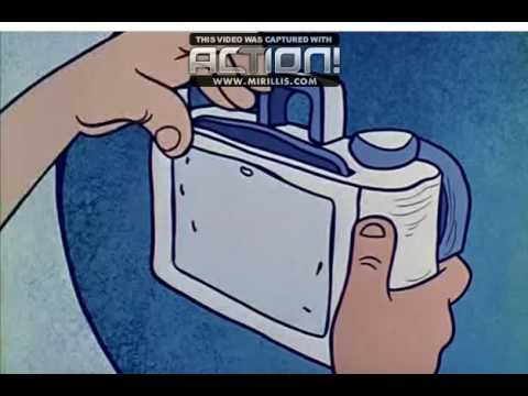 Stone Camera Bird (GIF) - YouTube