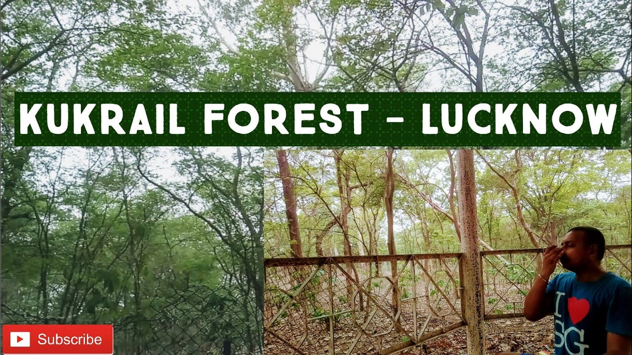 KUKRAIL FOREST LUCKNOW | KUKRAIL JUNGLE | LUCKNOW - YouTube
