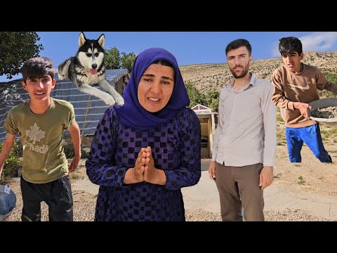 Yeni Bir Kanal Açmamızın Sebebi | Dağ Hayatımız Hikayesi Devam Ediyor