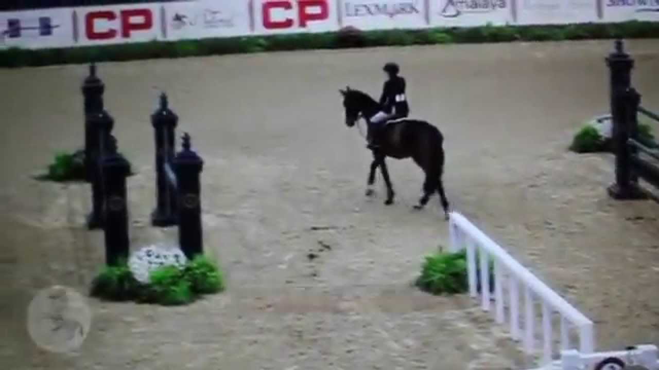 Shannon Eckel - Maclay Finals 2014 - YouTube