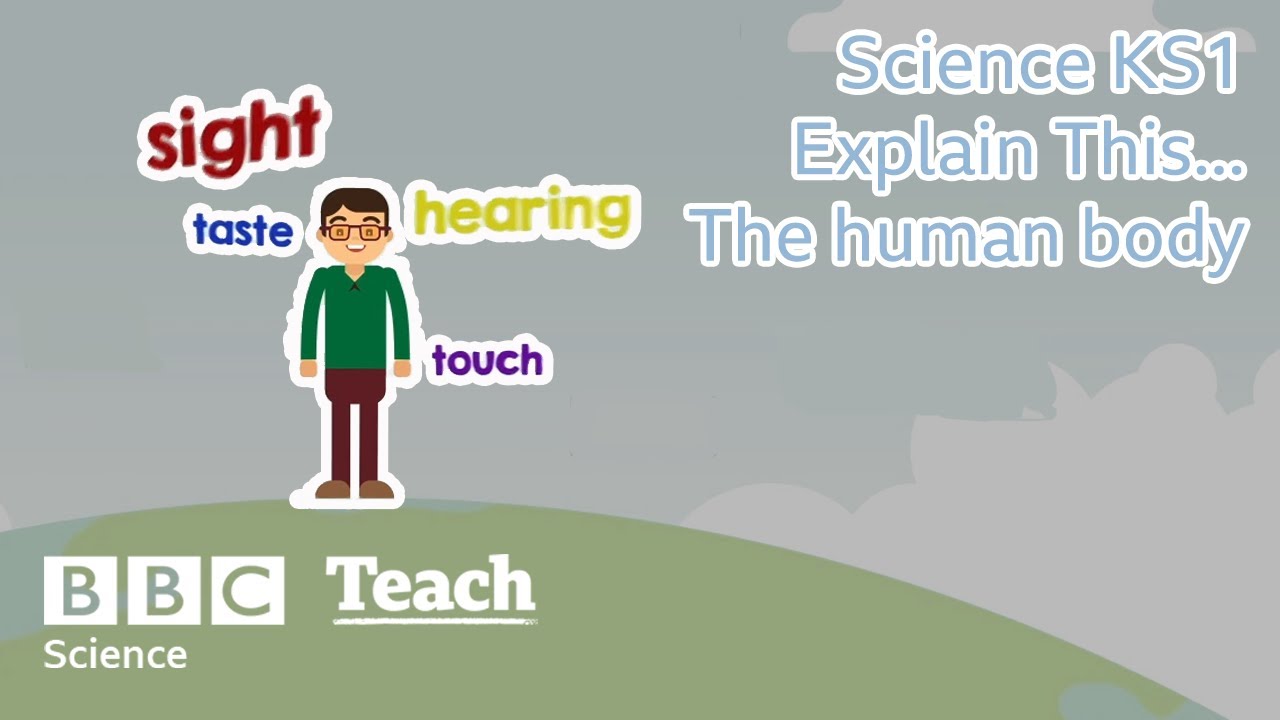 Science | KS1 | Explain This... | The human body | BBC Teach - YouTube