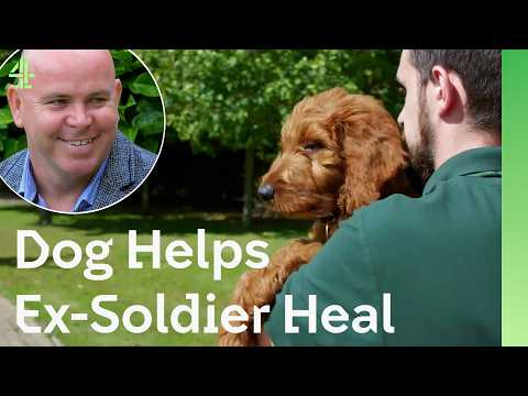 Dog Helps Ex-Soldier Heal | The Dog House 🐶