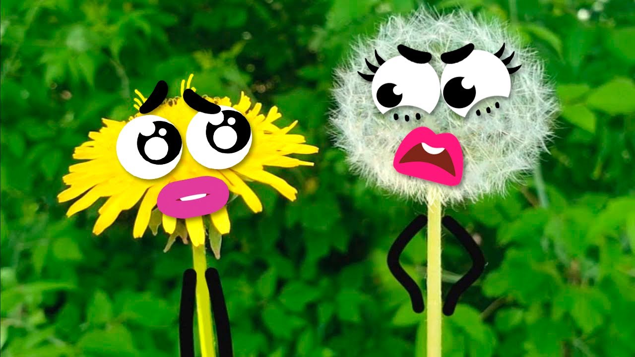 WOW! Crazy Doodles And Their Everyday Adventures || How To Be Popular ...