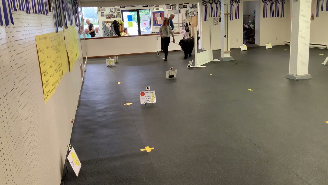 AKC VIRTUAL ADVANCED RALLY COURSE 3/Karma - YouTube