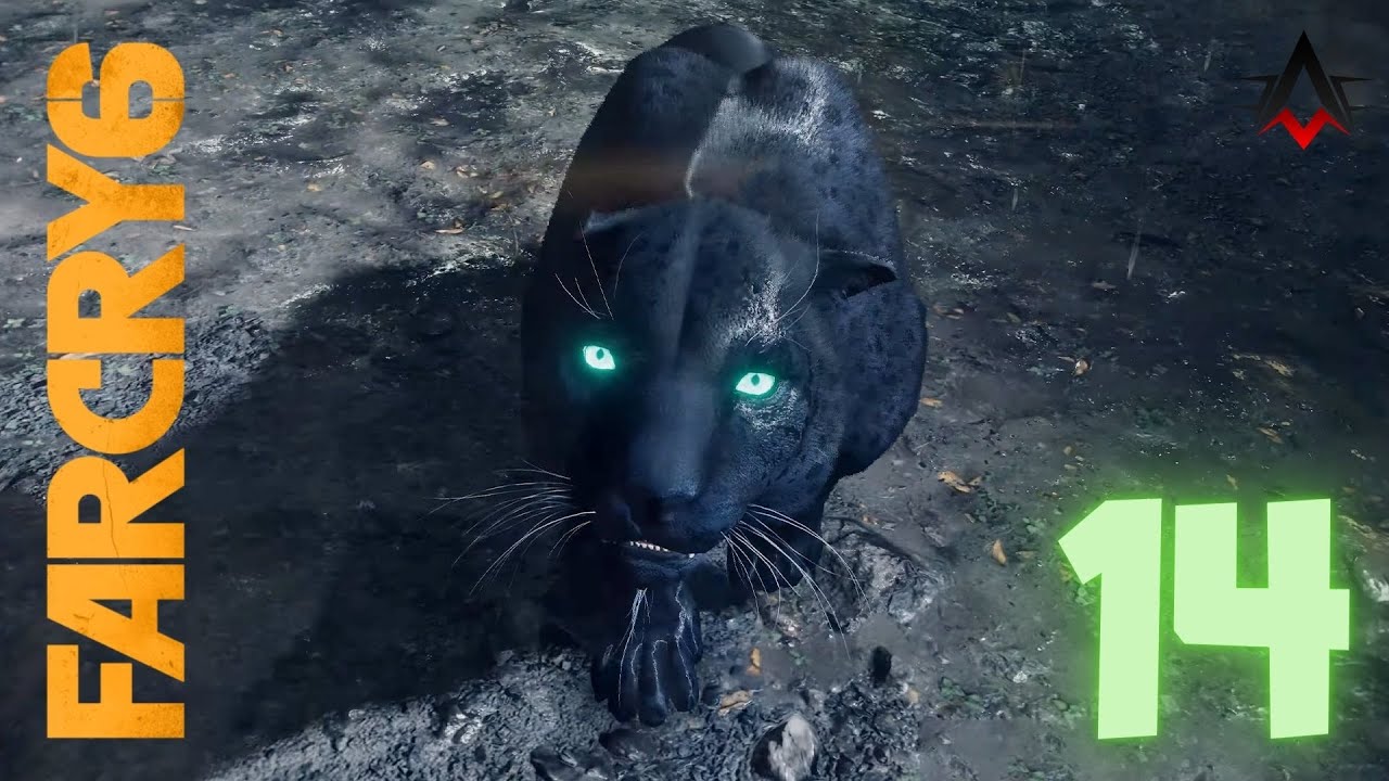 AMIGOS OLUSO: COME AVERE LE RELIQUIE PER LA PANTERA IN FAR CRY 6 - EP 14 - Walkthrough Gameplay ...