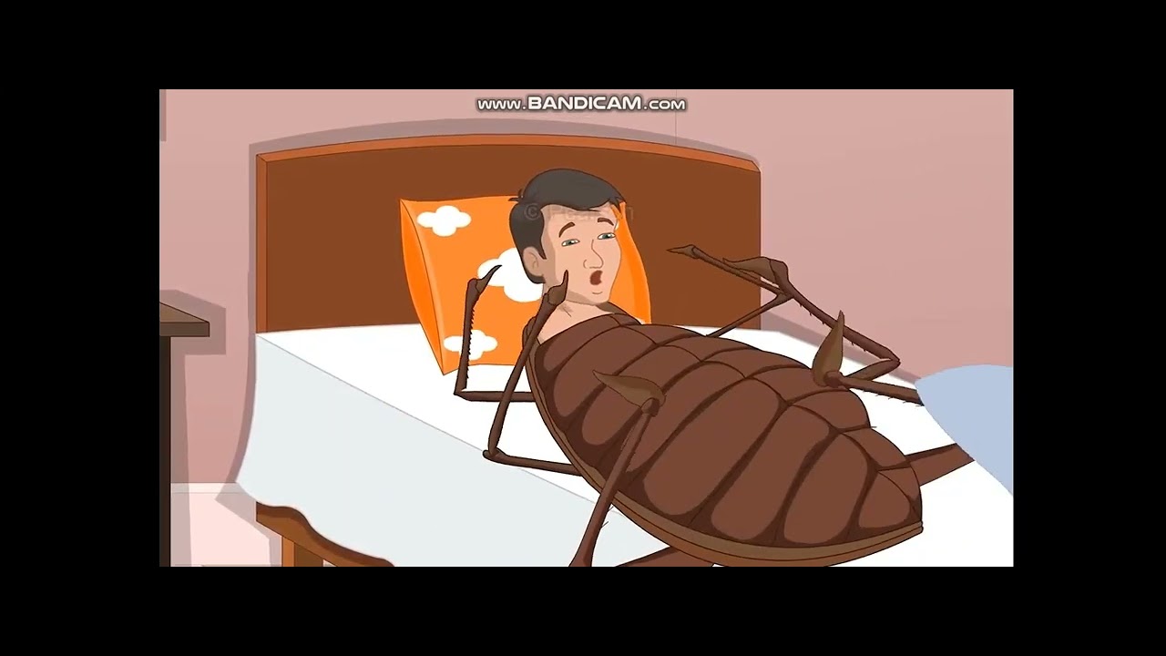 Class 6 - FRAMES - Ch 6 - A Strange Transformation - YouTube