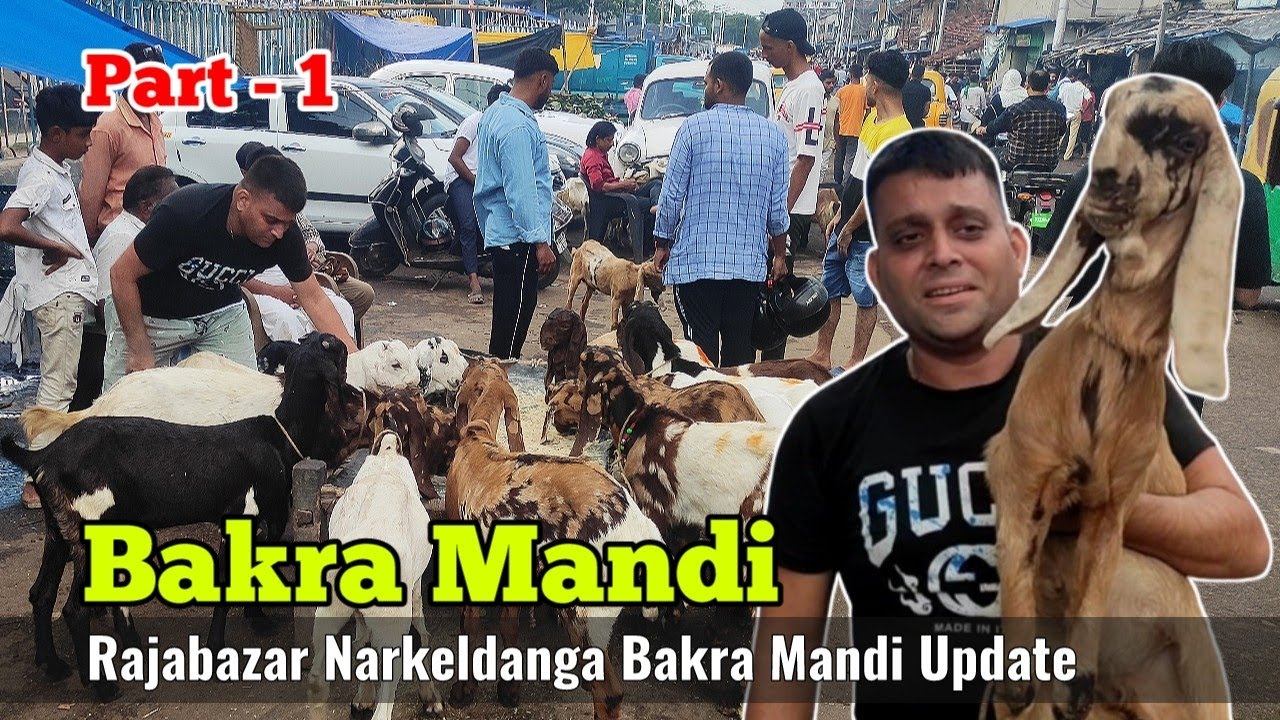 West Bengal Biggest Bakra Mandi | Rajabazar Narkeldanga Bakra Mandi ...