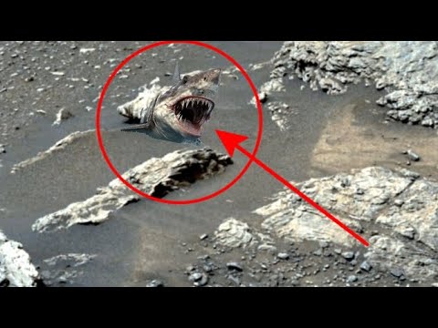 New Video Footage of Mars || NASA Mars Rover Released New Video Footage ...