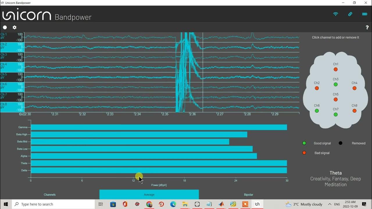 Demonstration - BCI Unicorn Headset with Matlab & Simulink Interface ...