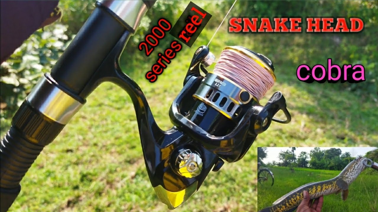2000 series reel se snake head copra fishing 🎣🎣 Lure hantihg - YouTube