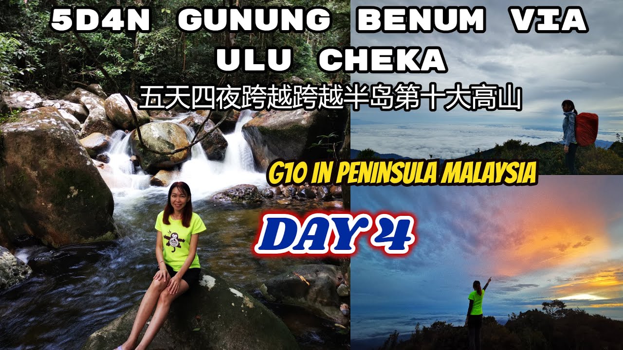 5D4N Gunung Benum via Ulu Cheka Day 4 五天四夜跨越马来西亚半岛第十大最高山峰文龙山之第四天 下山下到怀疑 ...